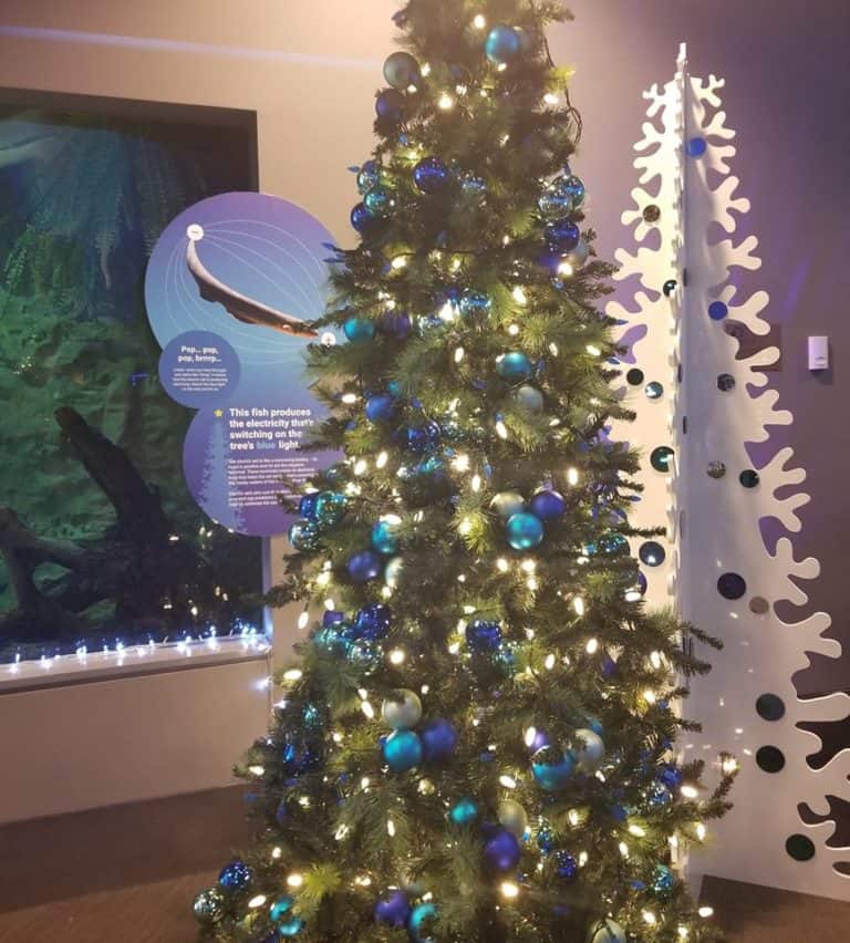 Sea of Lights at the Vancouver Aquarium - Modern Mama