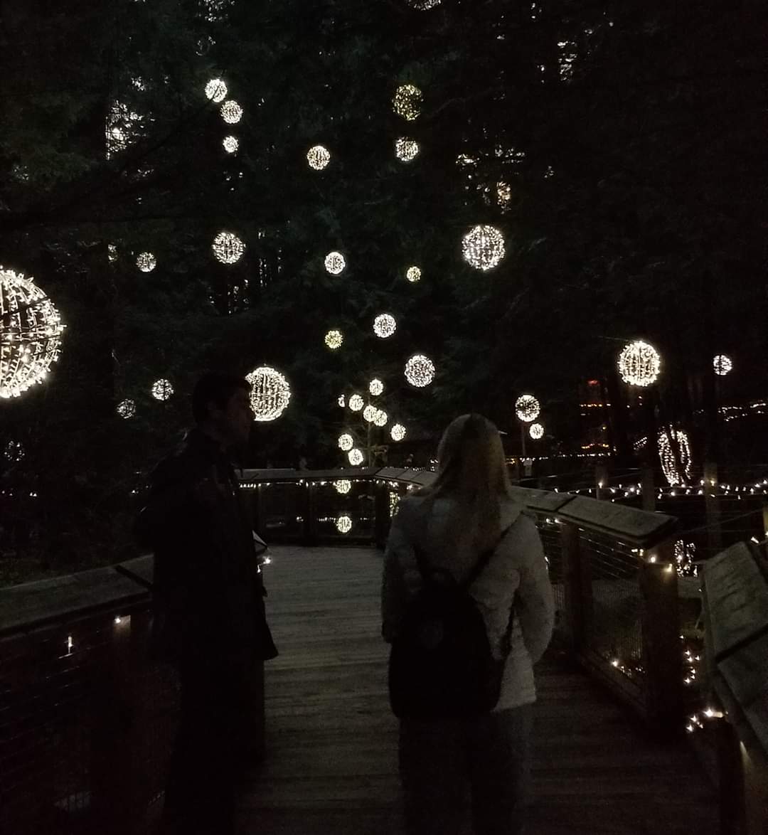 Canyon Lights at Capilano Suspension Bridge ends on January 26th ...