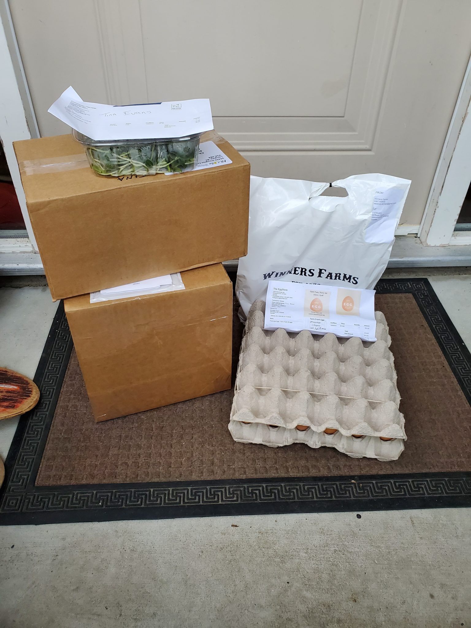 Farm-to-Table with DirectFood.store - Modern Mama