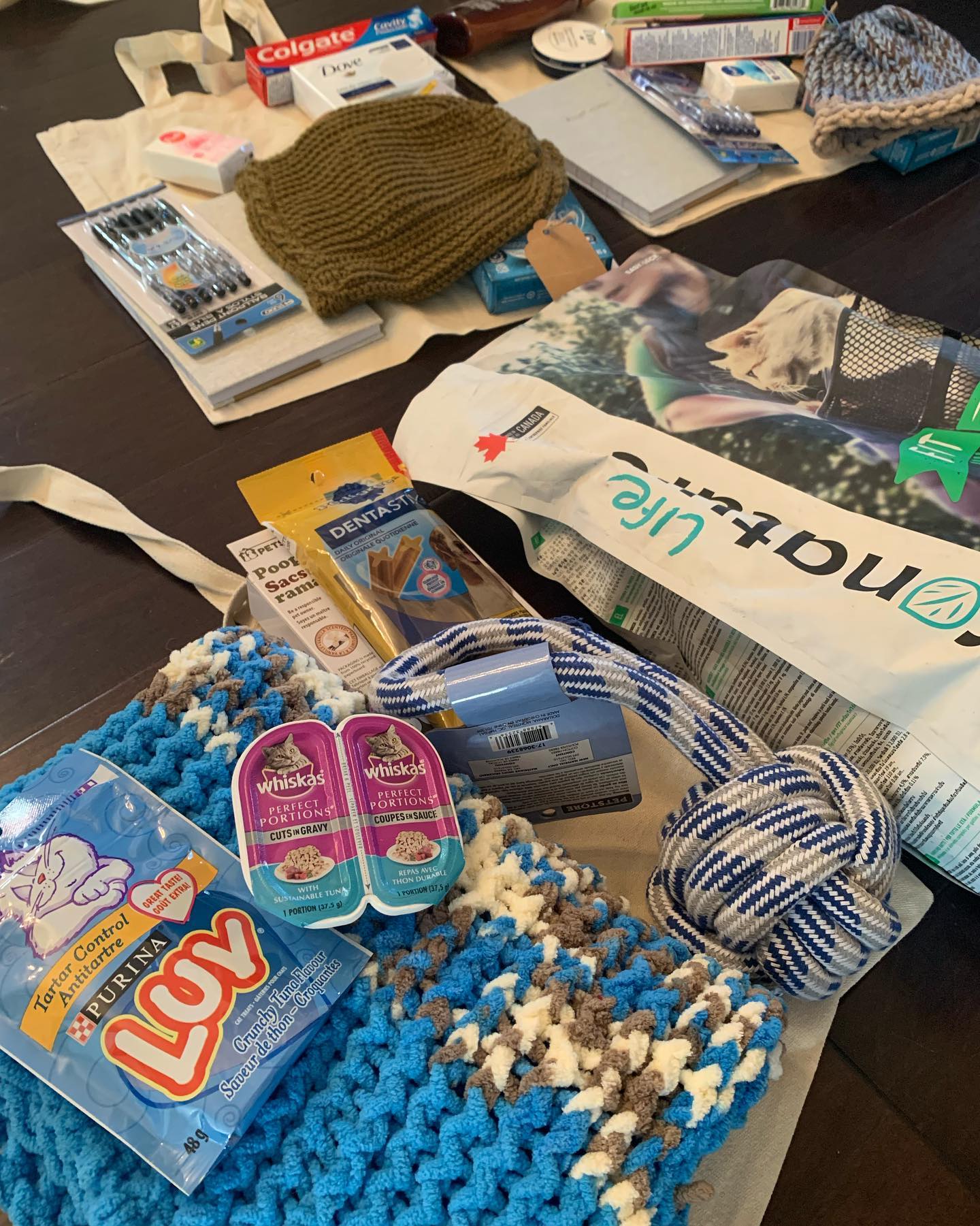 Giving Tuesdays - The Canadian Courage Project - Modern Mama