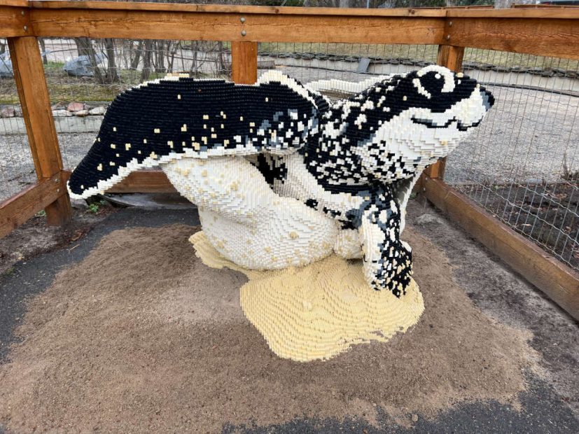 Nature Connects Lego Exhibit at the Edmonton Valley Zoo - Modern Mama