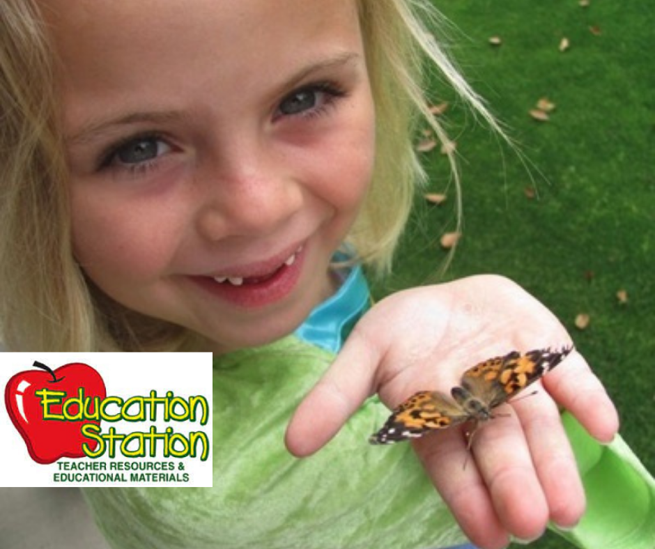 Growing Butterflies with Education Station - Modern Mama