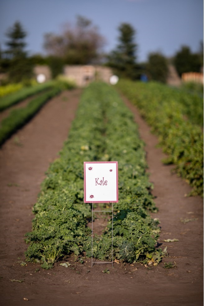 Top 10 U-Pick Farms In and Around Edmonton - Modern Mama