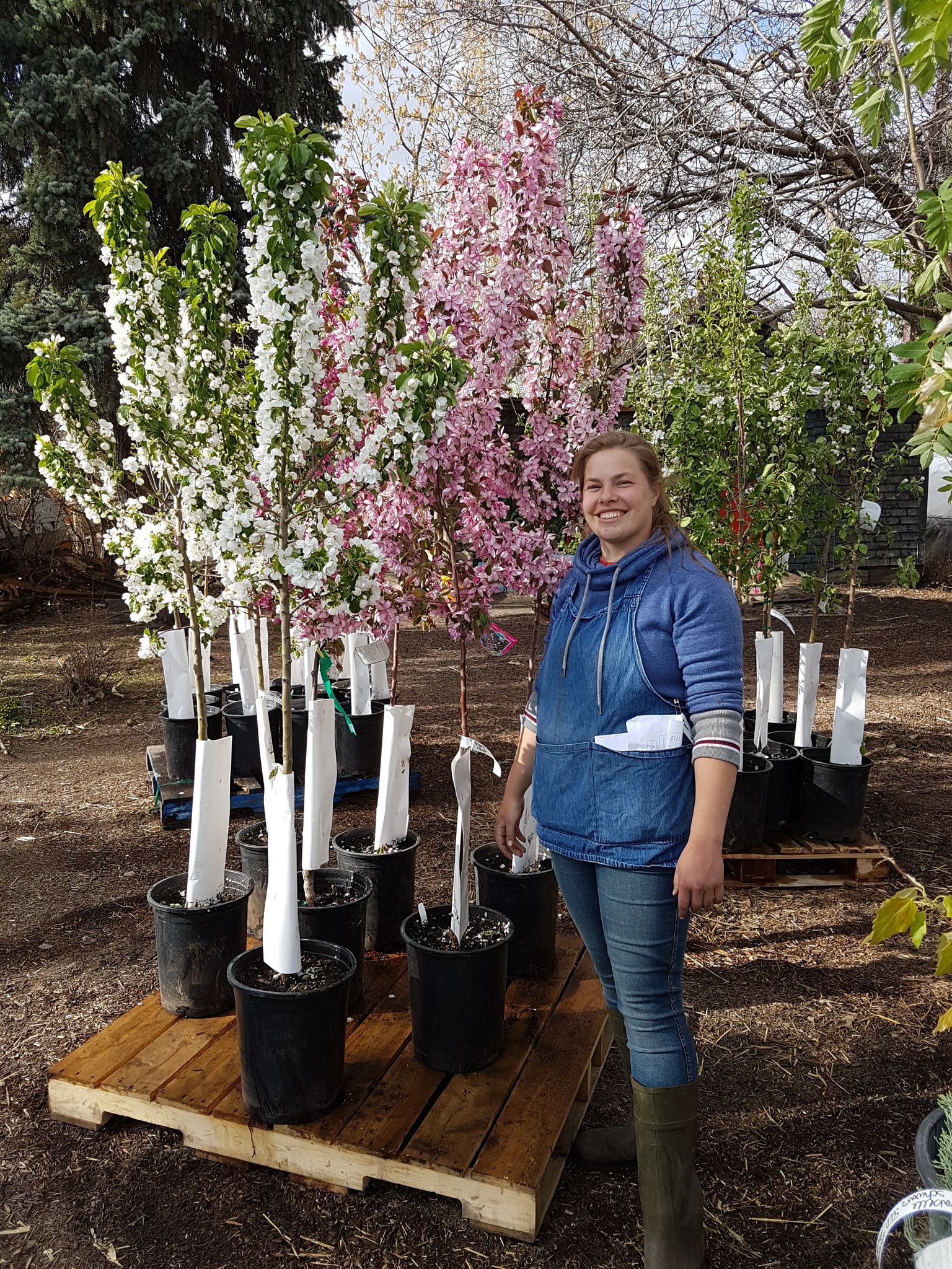Top 10 U-Pick Farms In and Around Edmonton - Modern Mama