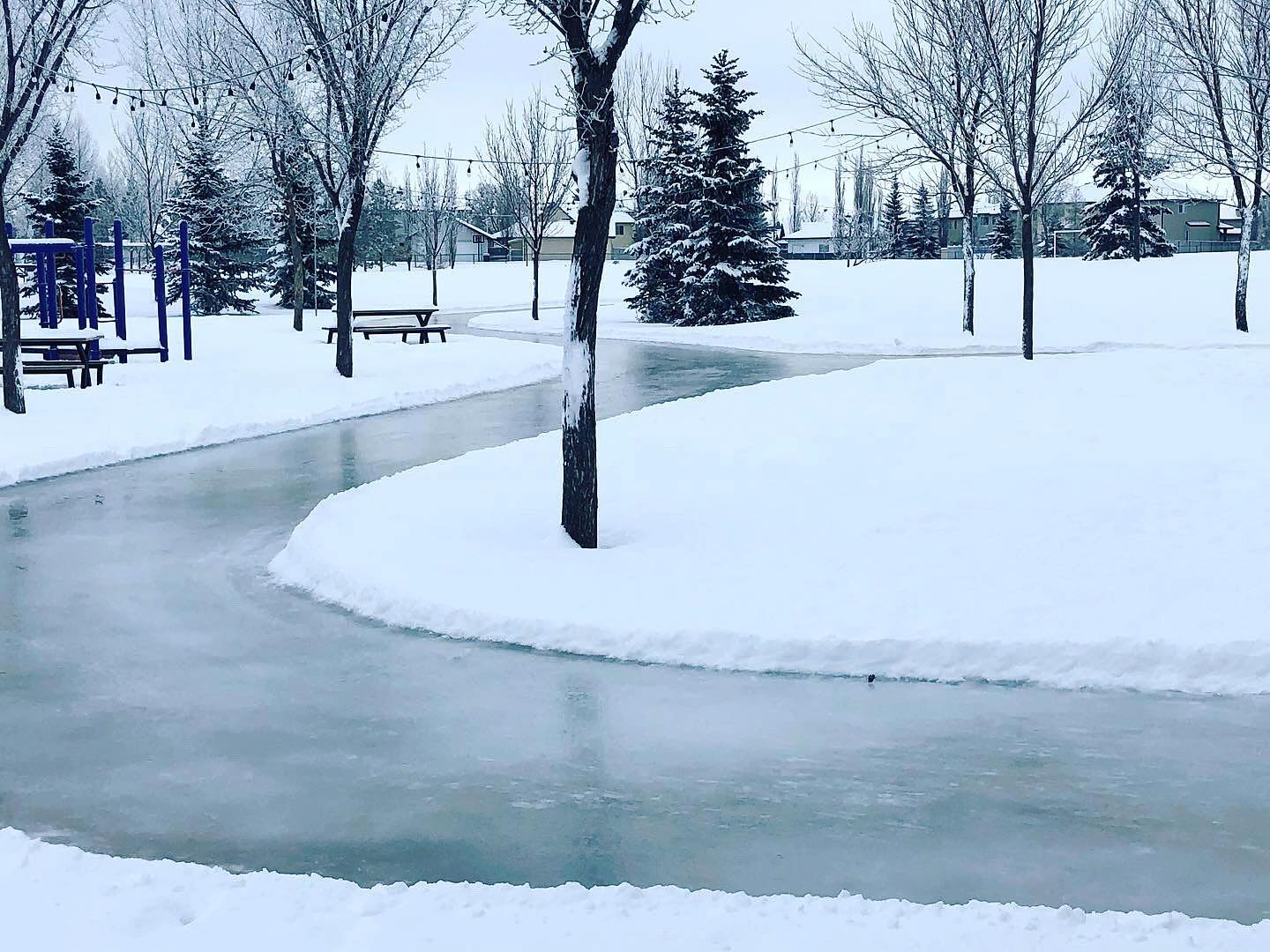 Where to Skate for FREE In and Around Edmonton - Modern Mama