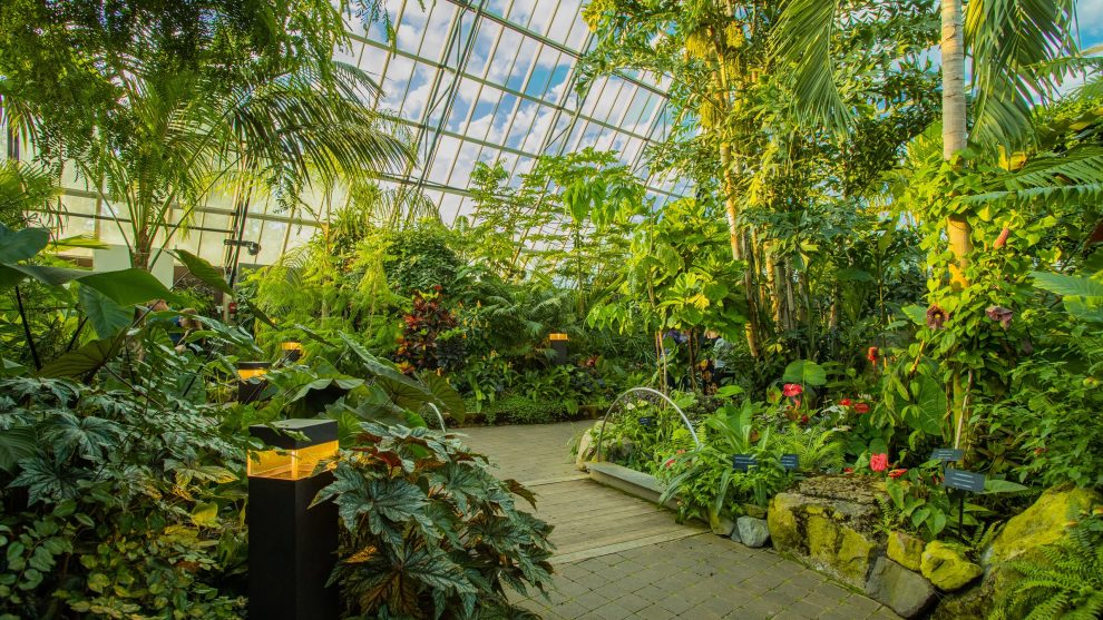 Edmonton Valley Zoo and Muttart Conservatory 2 for 1 Deal! - Modern Mama